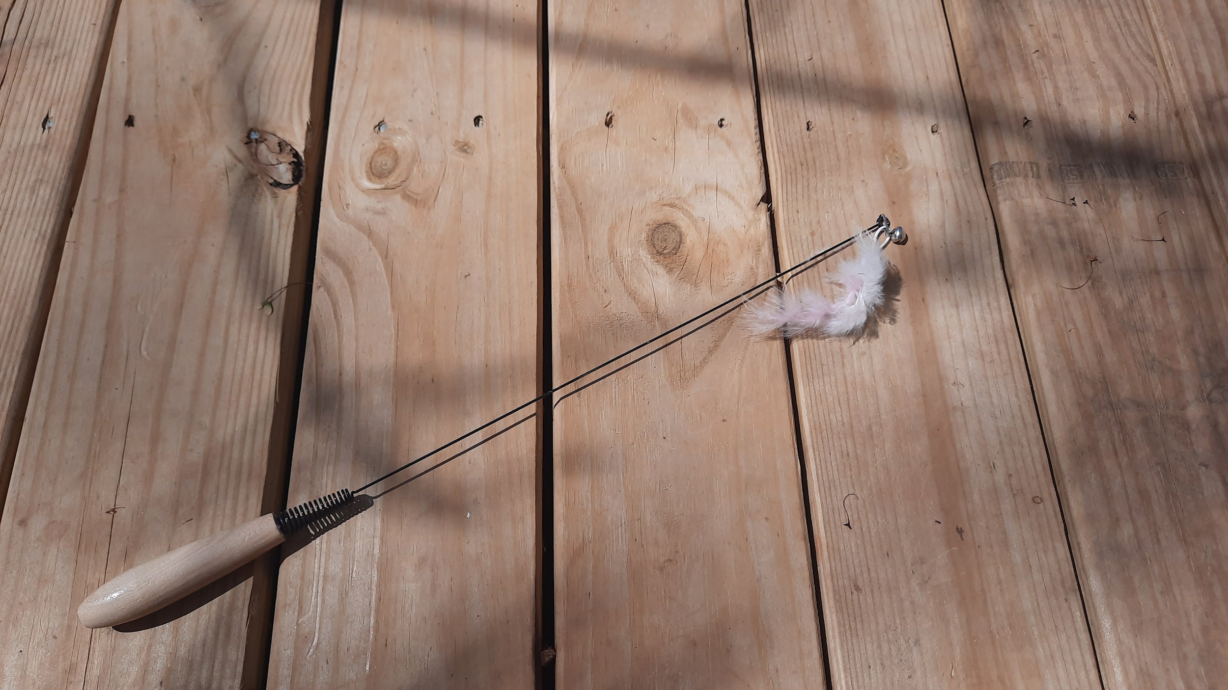 Atlantic Animals | Bond With Your Pet